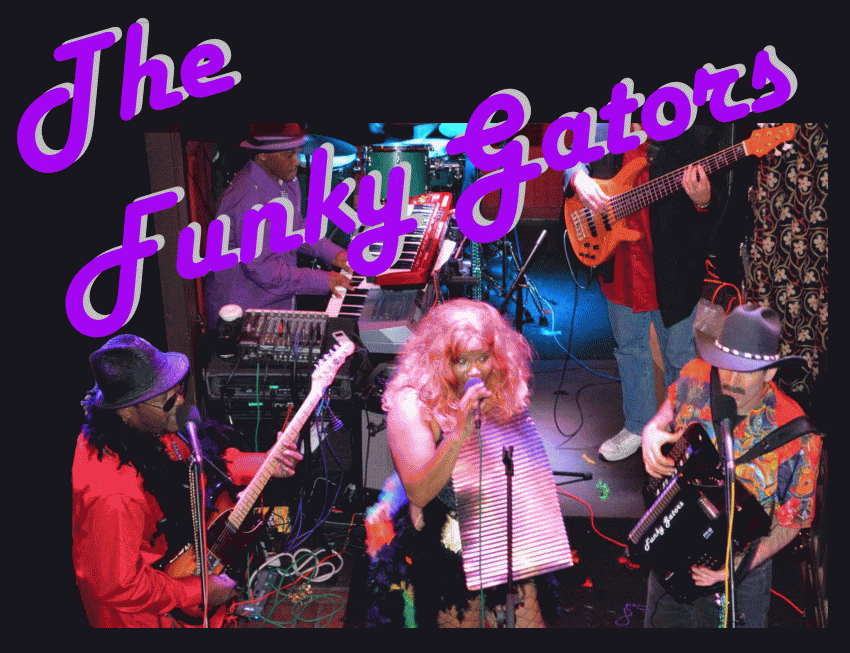 Hire Funky Gators - Zydeco Band in San Francisco, California