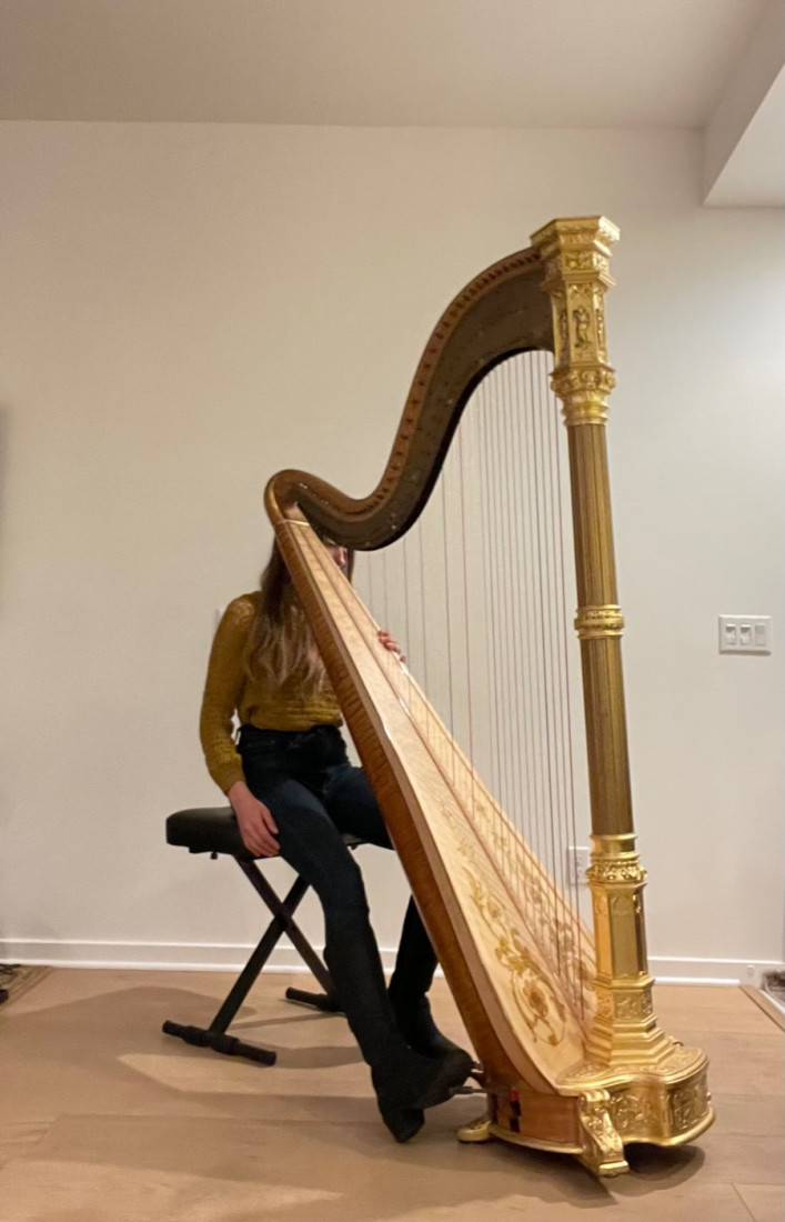 Hire Ginger Rose Harpist - Harpist in Los Angeles, California