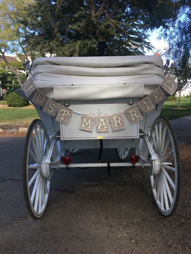 Hire Grand Carriages - Horse Drawn Carriage in Livermore, California
