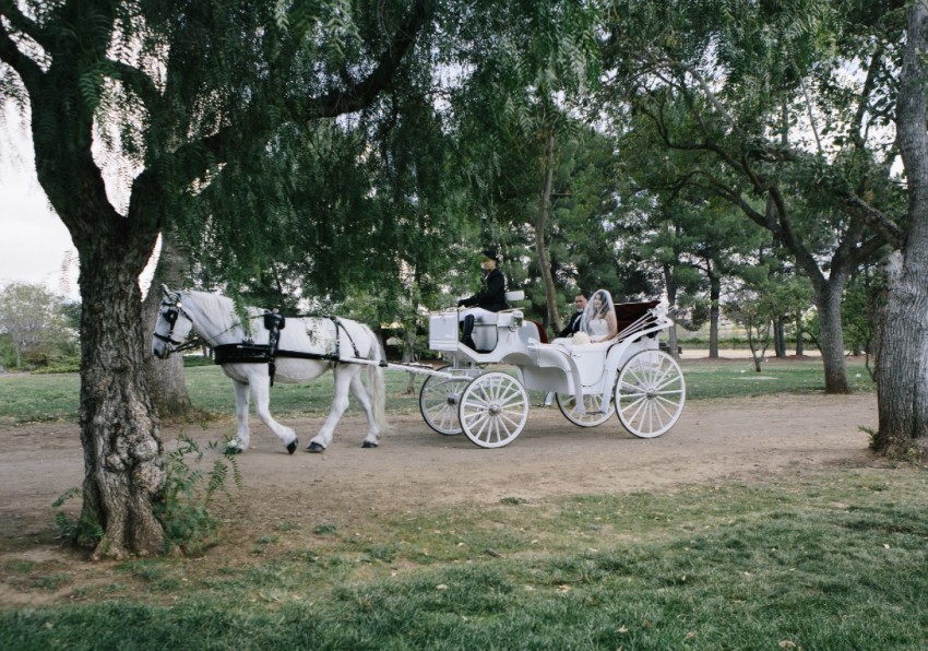 Hire Grand Carriages - Horse Drawn Carriage in Livermore, California