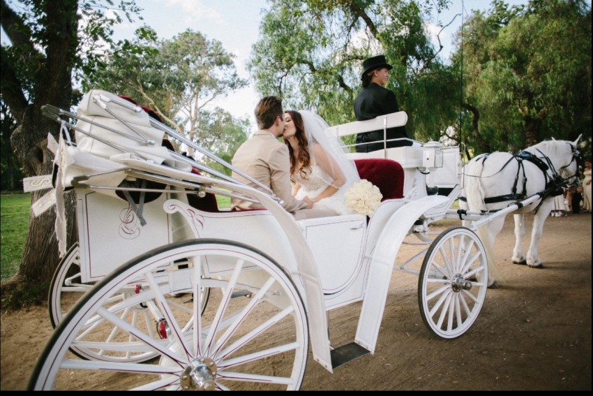 Hire Grand Carriages - Horse Drawn Carriage in Livermore, California