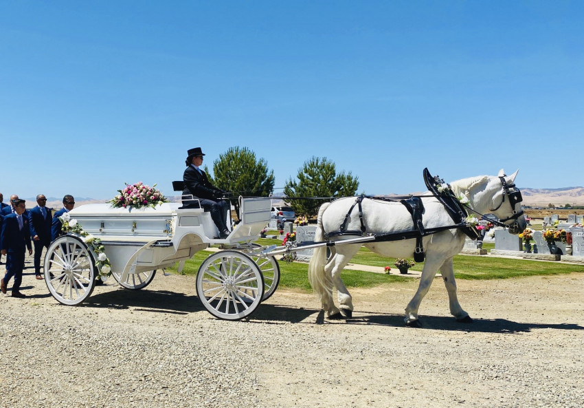 Hire Grand Carriages - Horse Drawn Carriage in Livermore, California
