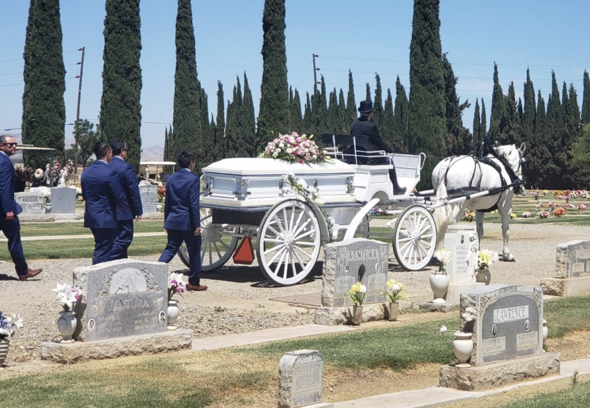 Hire Grand Carriages - Horse Drawn Carriage in Livermore, California