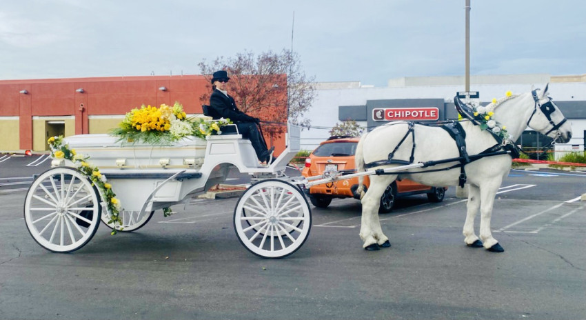 Hire Grand Carriages - Horse Drawn Carriage in Livermore, California