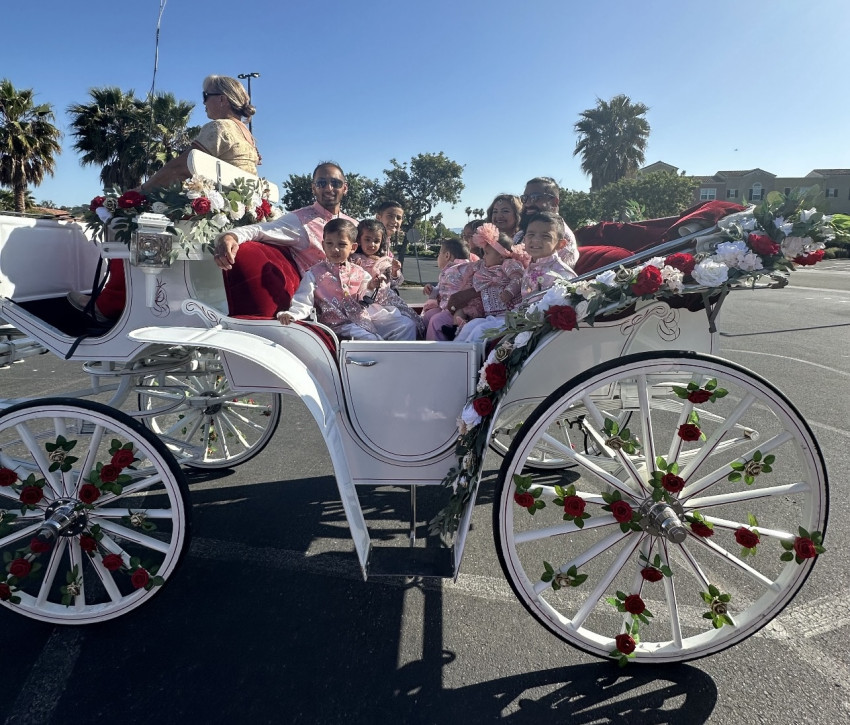 Hire Grand Carriages - Horse Drawn Carriage in Livermore, California
