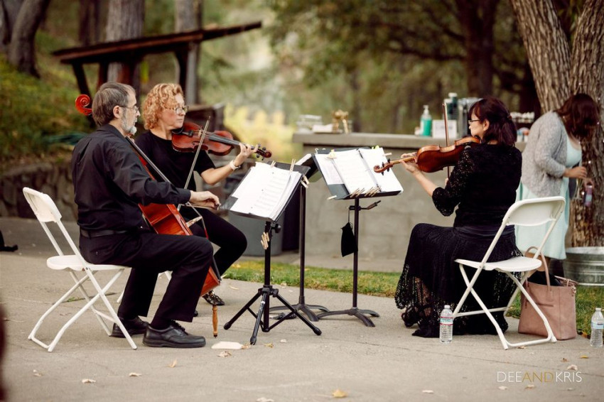 Hire Harmony Strings - String Quartet in Sacramento, California