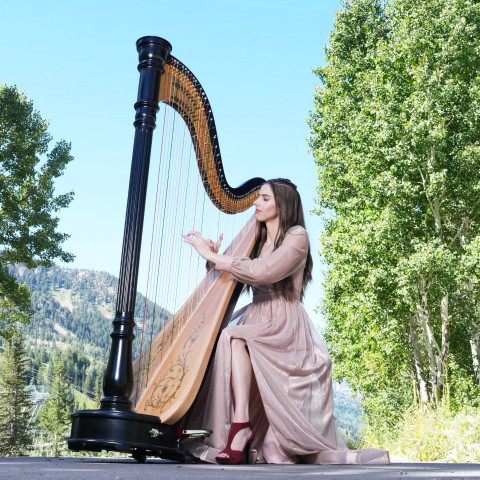 Hire Bridget Jackson Harp LLC - Harpist in Orem, Utah