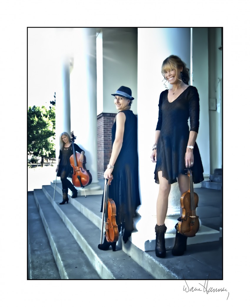 Hire Musical Heart Strings - Classical Ensemble in Martinez, California