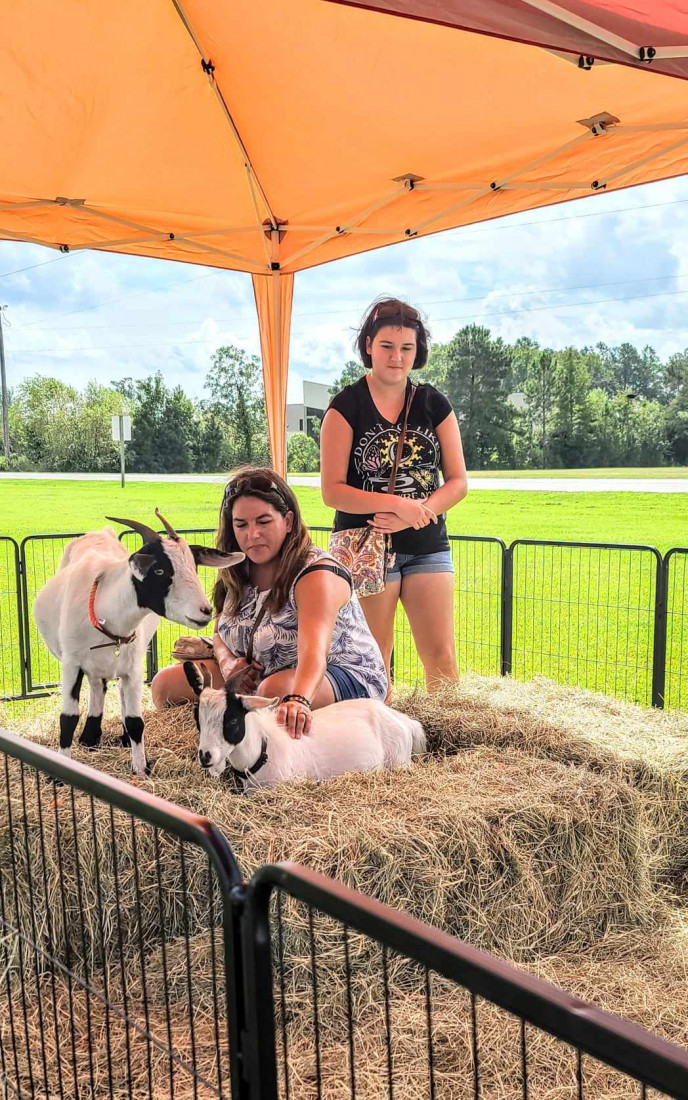 Hire Humphrey Honey Bunny Farm - Petting Zoo in Deep Run, North Carolina