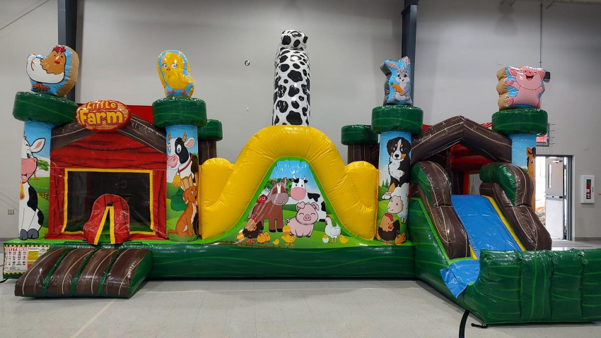Hire Jumpandgoinflatables - Party Inflatables in Kingsport, Tennessee