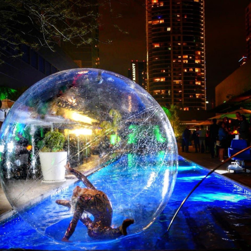 Hire Jungle Movement Circus - Acrobat in Round Rock, Texas