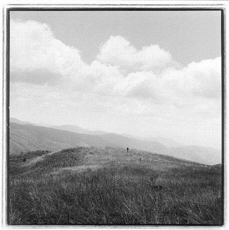 Hire Karl Ruch - Multi-Instrumentalist in Asheville, North Carolina