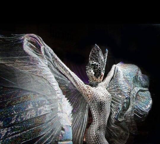 Hire Kikimora Studio - Circus Entertainment in Miami, Florida