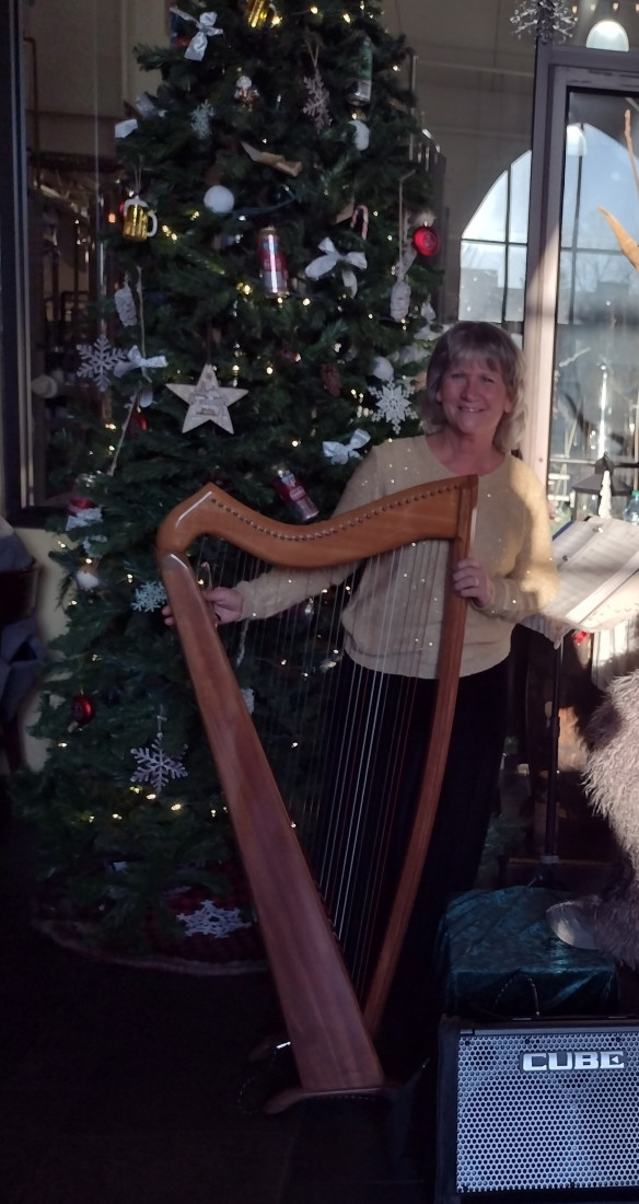 Hire Kim Adamson, harpist - Harpist in Maryville, Tennessee
