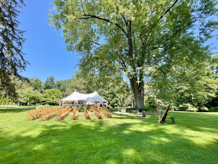 Hire Kristi Shade - Harpist in New York City, New York