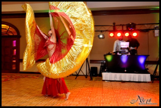 Hire Lauren- Cheeky Bellydance - Belly Dancer in West Palm Beach, Florida