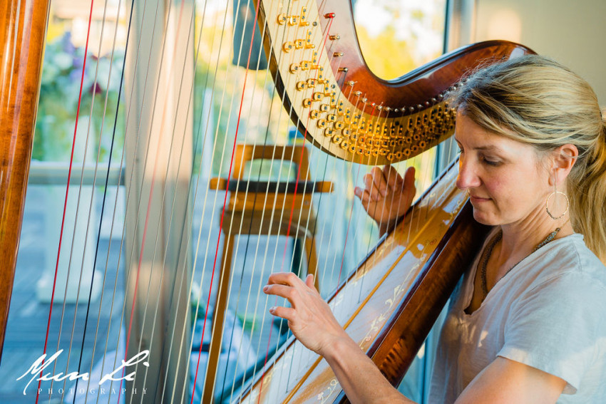 Hire Leigh Brown - Harpist - Harpist in Sherwood, Oregon