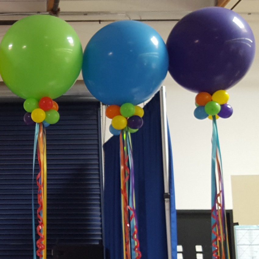 Hire Lighter Than Air Balloons - Balloon Decor in Orange County, California