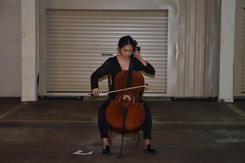 Hire Linda Hwang Cellist - Cellist in Boston, Massachusetts