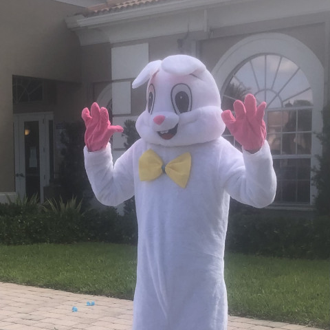 Hire Lucky Bunny - Costume Rentals in Lake Worth, Florida