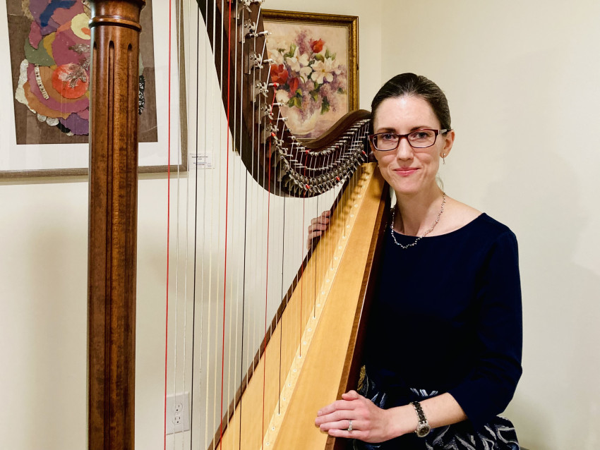 Hire Suzanne Ballam, harpist - Harpist in Glenmoore, Pennsylvania