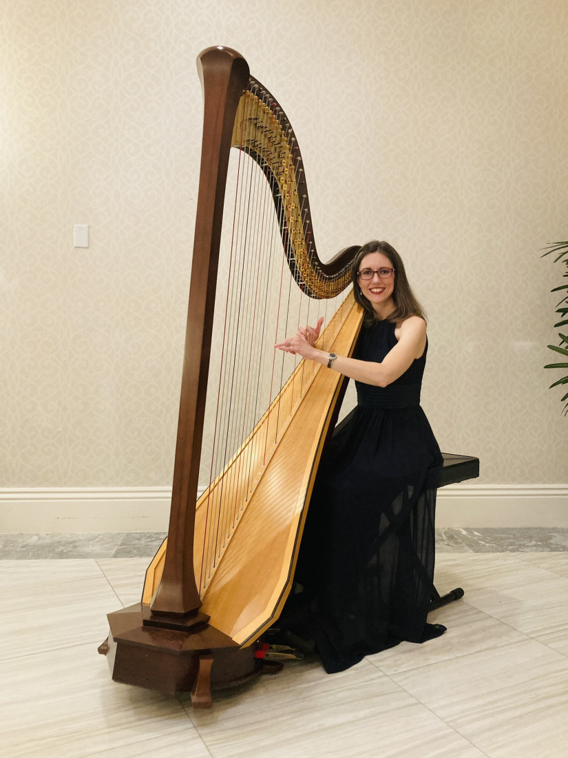 Hire Suzanne Ballam, harpist - Harpist in Glenmoore, Pennsylvania