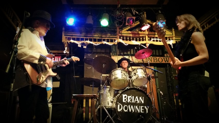 Hire MissRepresentit Groovegardens - Swing Band in Ottawa, Ontario