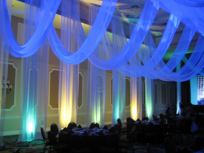 Hire Modern Expressions - Wedding Planner in Sorrento, Florida