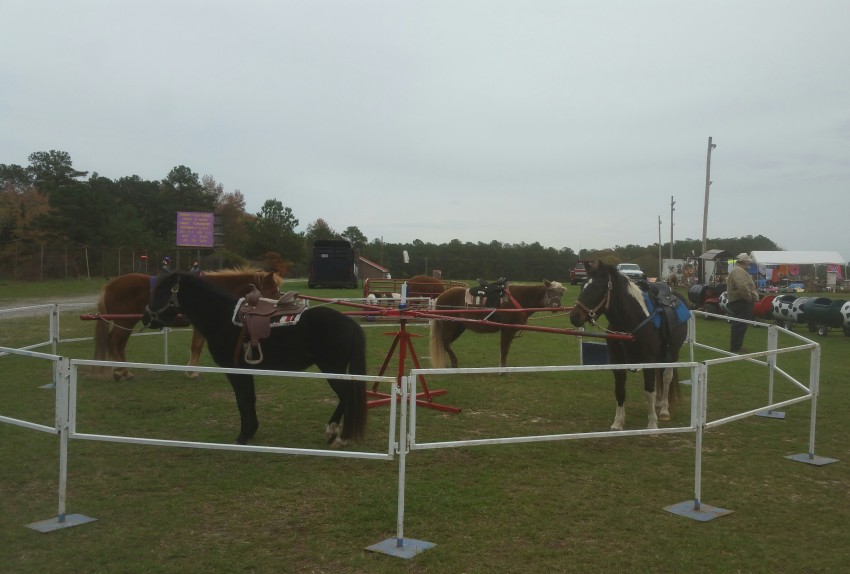 Hire Carolina Fun Factory - Children’s Party Entertainment in ...