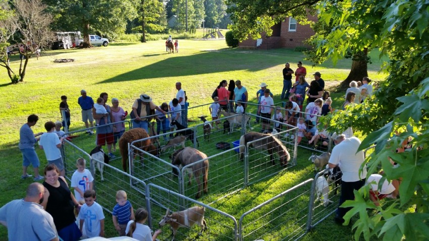 Hire Carolina Fun Factory - Children’s Party Entertainment in ...