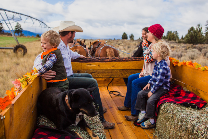 Hire North Pine Carriage Company - Horse Drawn Carriage in Sisters, Oregon