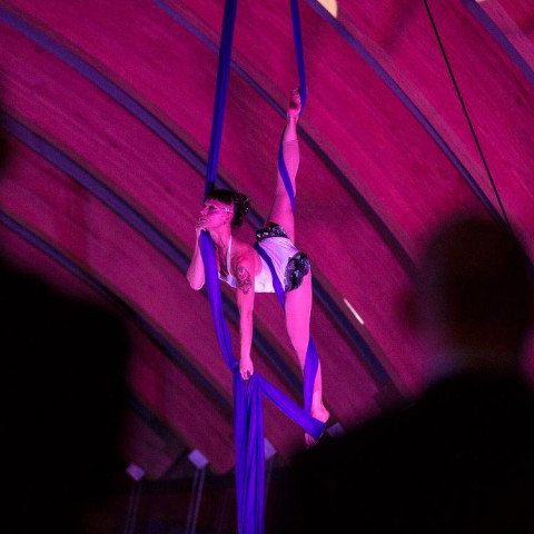 Hire Ozark Cirque, LLC - Circus Entertainment in Fayetteville, Arkansas