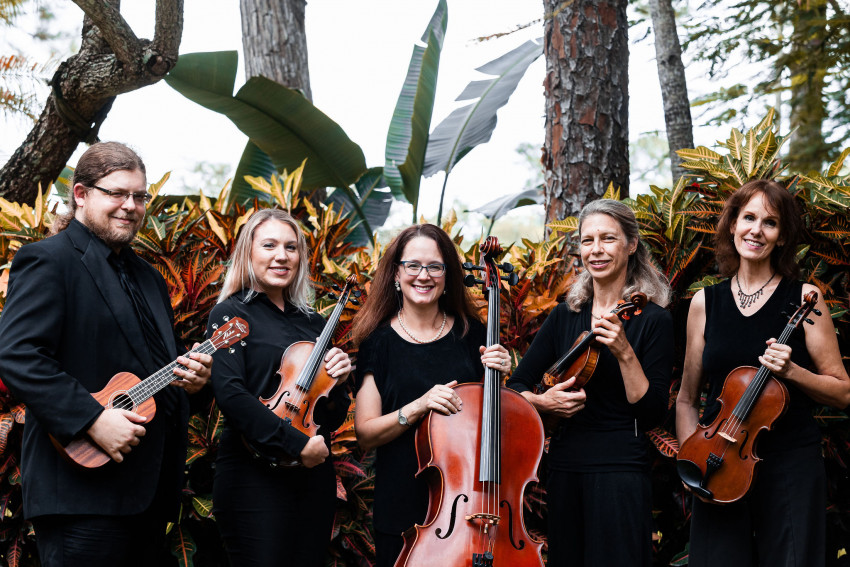 Hire Paradise Strings - String Trio in Naples, Florida