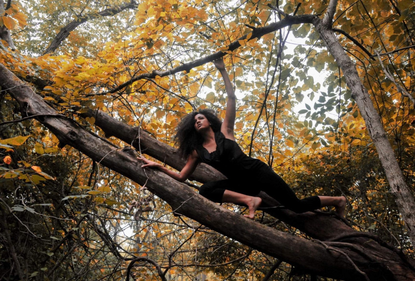 Hire Pearl Scott - Singer/Songwriter in Dorchester, Massachusetts