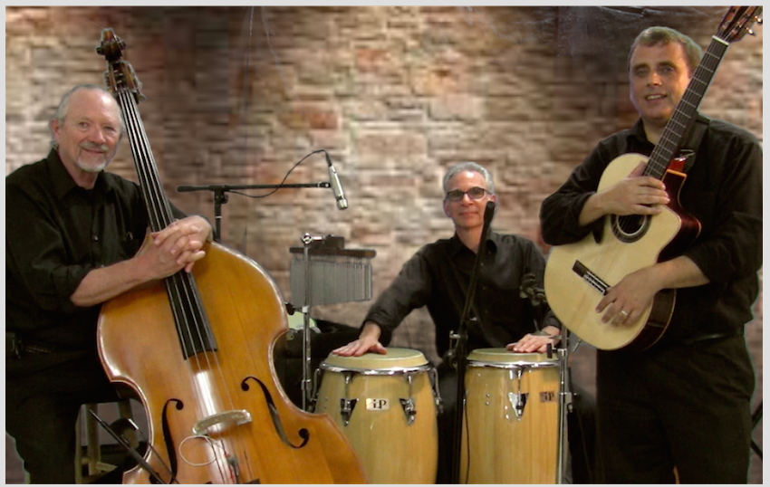 Hire Peter Simms - Guitarist - Guitarist in Venice, Florida