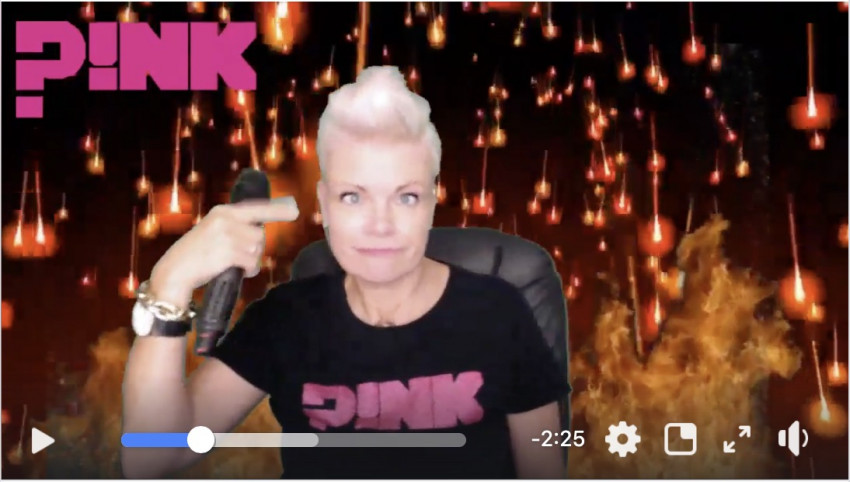 Hire Pink Lookalike Performer - Tribute Artist in The Villages, Florida