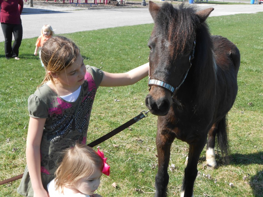 Hire Pony Time Ranch & Petting Zoo - Pony Party in Lowellville, Ohio
