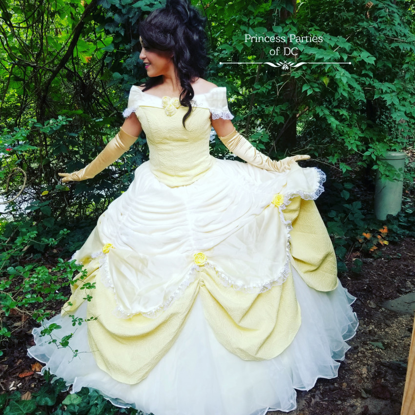 Hire Princess Parties of D.C. - Princess Party in Alexandria, Virginia