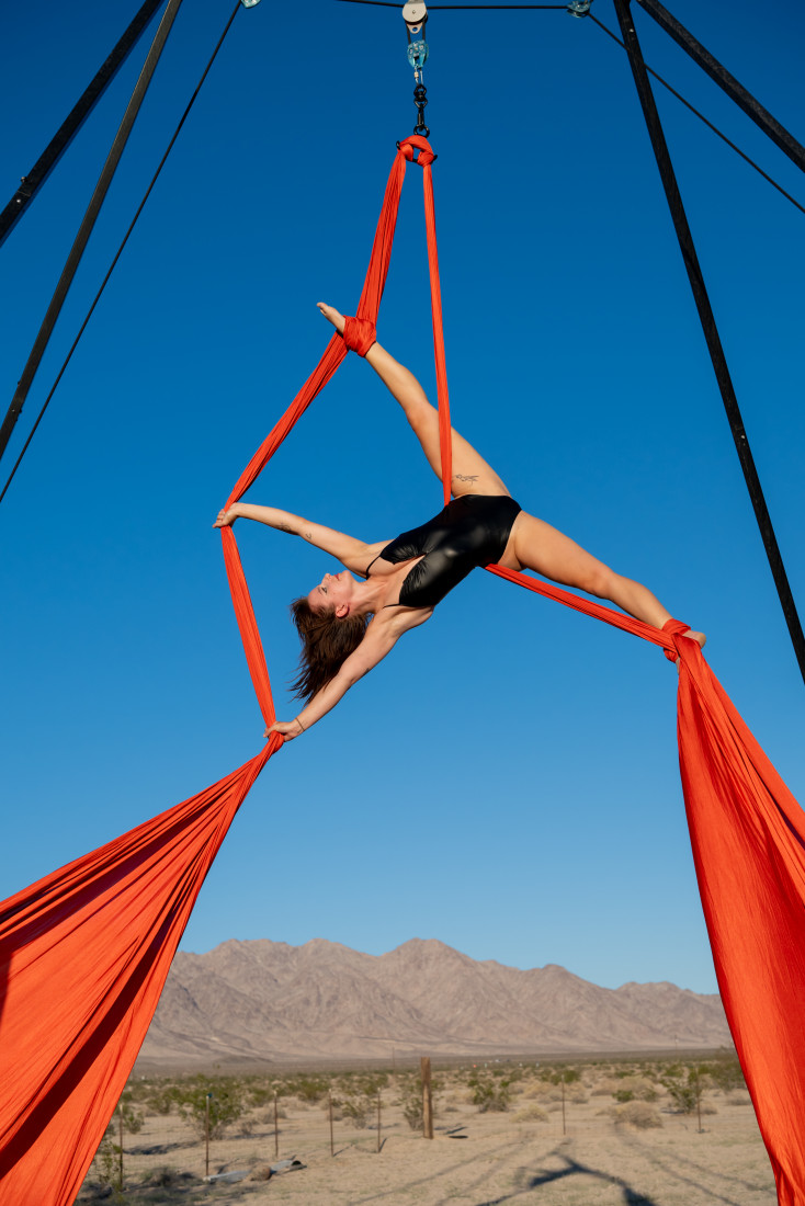 Hire Professional Aerial Silks Performer - Aerialist in Los Angeles ...