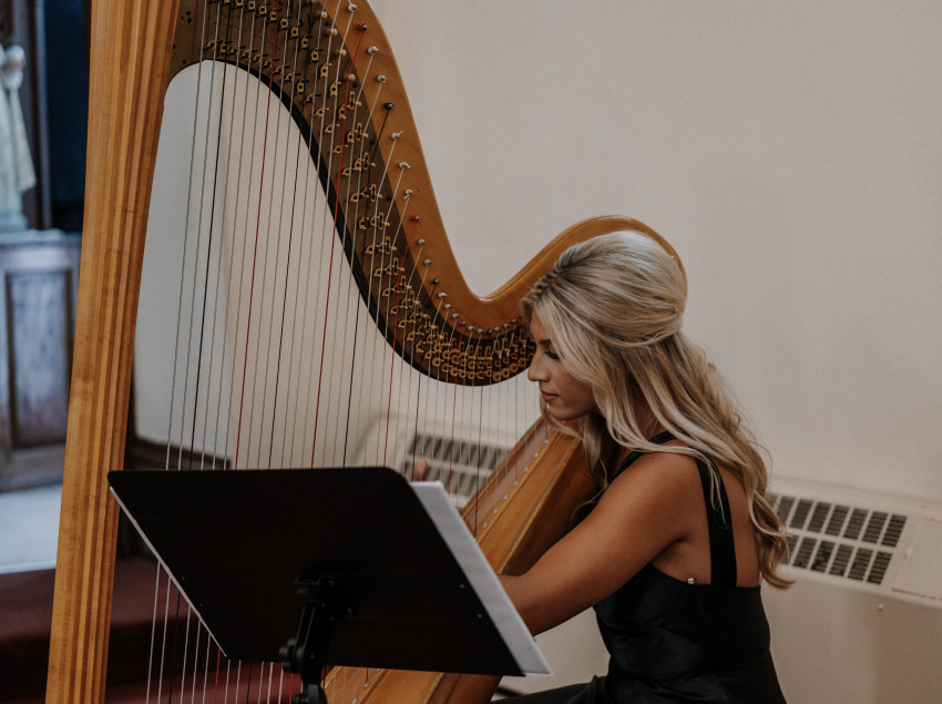 Hire Professional Harpist - Harpist in Marina Del Rey, California