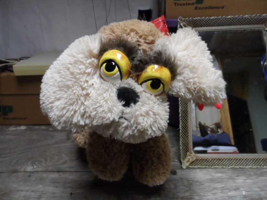 Hire Puppet Stuff - Puppet Show in Melbourne, Florida