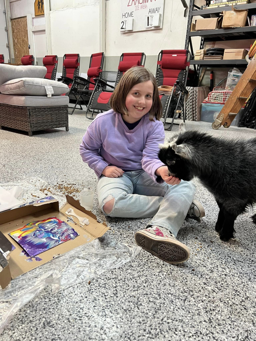 Hire Pygmy Goat Parties & Petting Zoos - Animal Entertainment in Byron ...