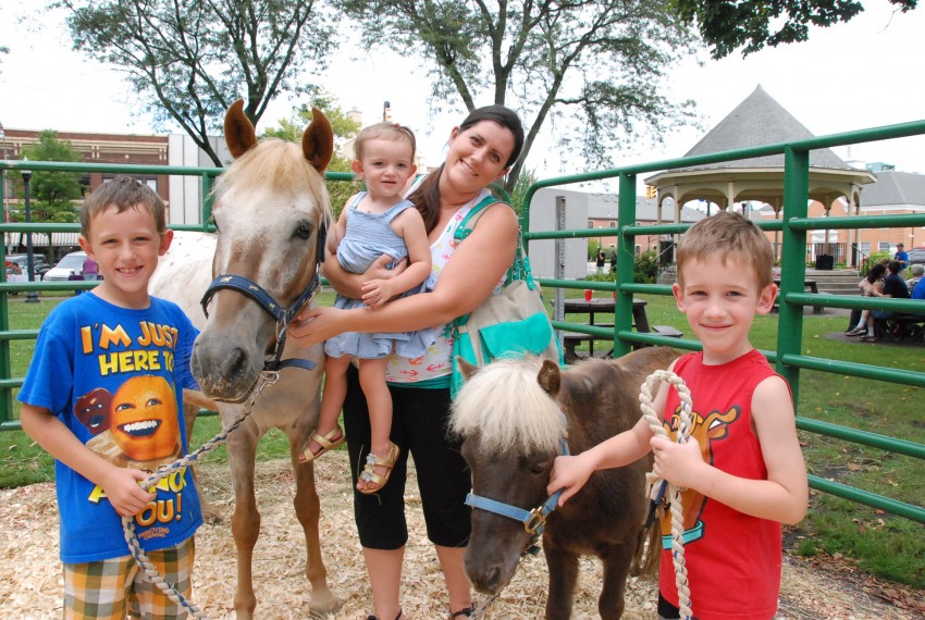 Hire Clover Pony Farm - Children’s Party Entertainment in Sunbury, Ohio