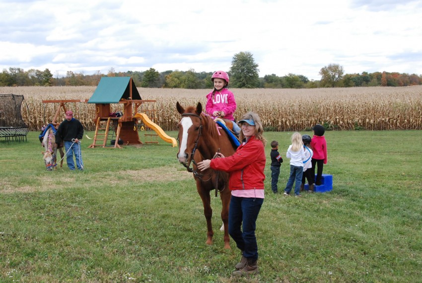 Hire Clover Pony Farm - Children’s Party Entertainment in Sunbury, Ohio