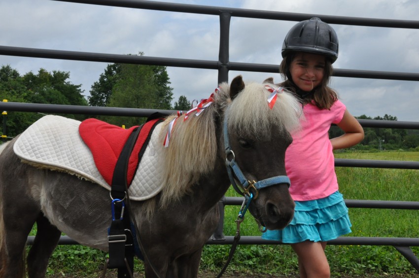 Hire Clover Pony Farm - Children’s Party Entertainment in Sunbury, Ohio