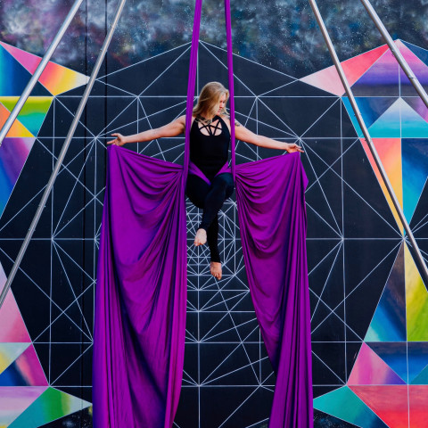 Hire Rebel Aerial - Aerialist in Sacramento, California
