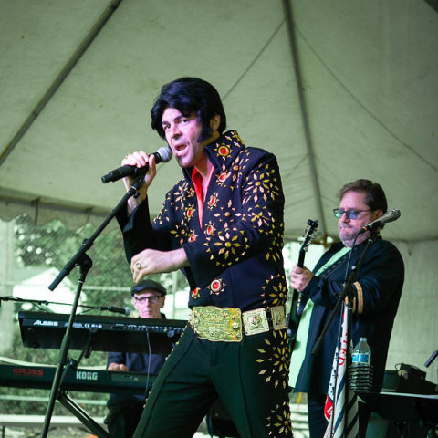Hire Robbie Dee's Tribute to Elvis - for hire - Elvis Impersonator in ...