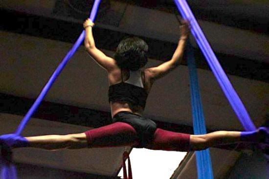 Hire Rohnert Park Aerial Arts - Aerialist in Rohnert Park, California