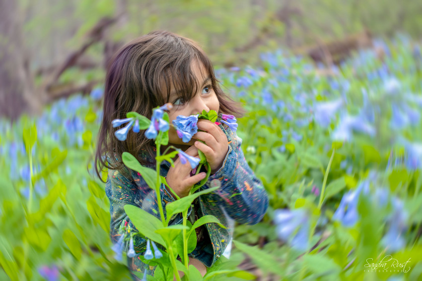 Hire Sandra Rust Photo - Portrait Photographer in Joliet, Illinois