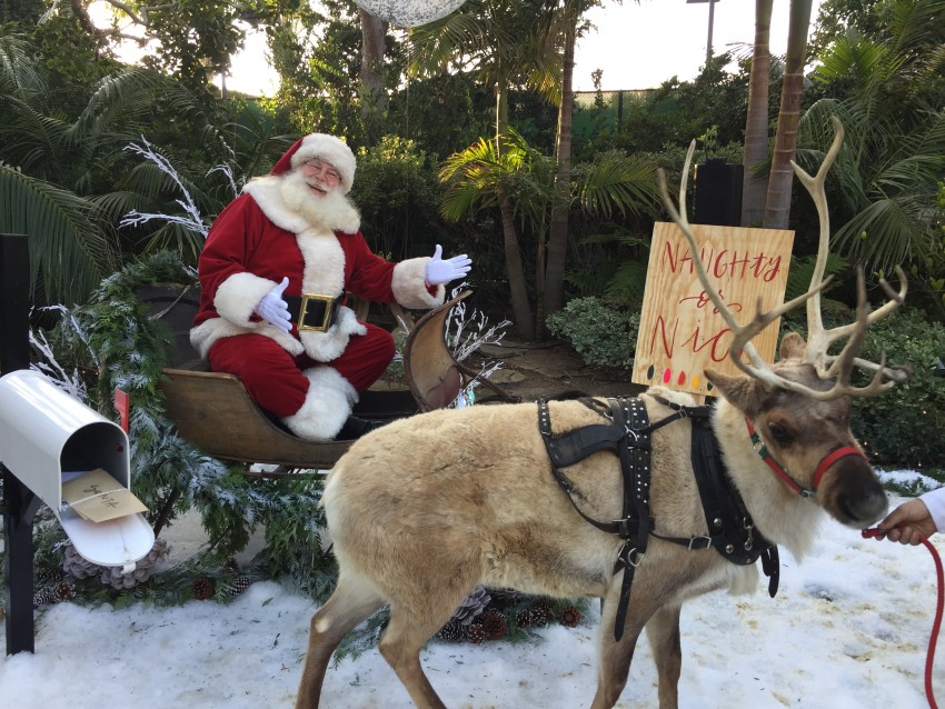 Hire Santa Ed Taylor - Santa Claus in Los Angeles, California